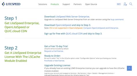 LiteSpeed Cache Vs WP Rocket Detailed Comparison
