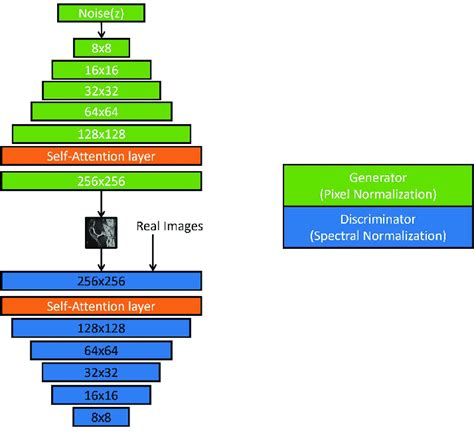 overview of enhanced pggan download scientific diagram