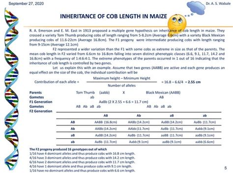Quantitative And Cytoplasmic Inheritance Ppt