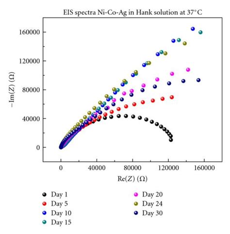 Eis Nyquist Plot For Different Times Of Immersion And Equivalent Circuit Download Scientific