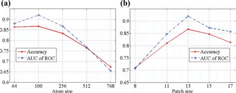 performance for a analyses comparing different dictionary sizes and