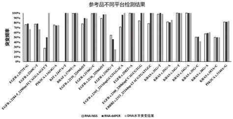 一种用于检测点突变、插入和缺失突变的rna参考品及其制备方法与应用与流程