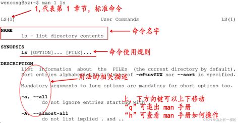Linux常用命令实验报告linux命令报告 Csdn博客
