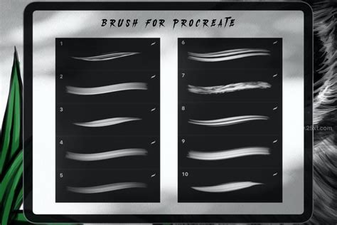 干性记号笔procreate插画笔刷素材 25学堂