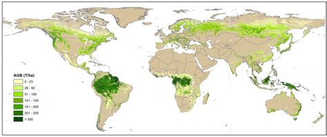 Forest Density And Thickness Lushness Global Maps On The Web