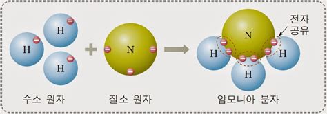 Science Blog 공유 결합과 분자의 형성