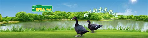 广东壹号食品股份有限公司