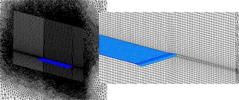 Three Dimensional Model For The Membrane Wing Download Scientific
