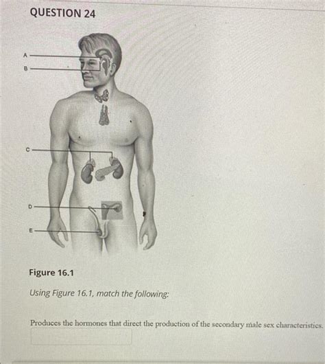 Solved QUESTION B D Figure Using Figure Match Chegg Com