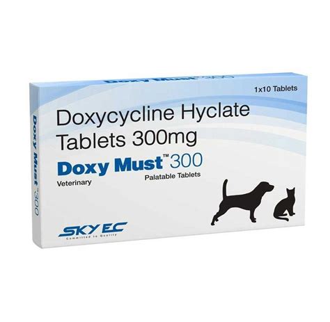 Sky Ec Doxy Must Doxycycline Hyclate Tablets 300mg 10 Tabs At 153 Box Visakhapatnam ID