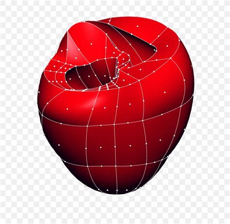 Mathematics Mathematical Model Finite Element Method Heart Geometry
