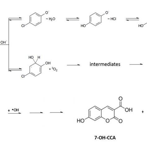 A Course Of The Photocatalytic Degradation Of 4 Chlorophenol On Tio2