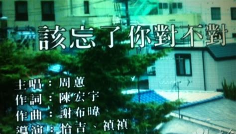 该忘了你对不对图册 360百科