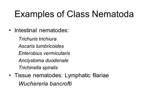 Nematodes Examples
