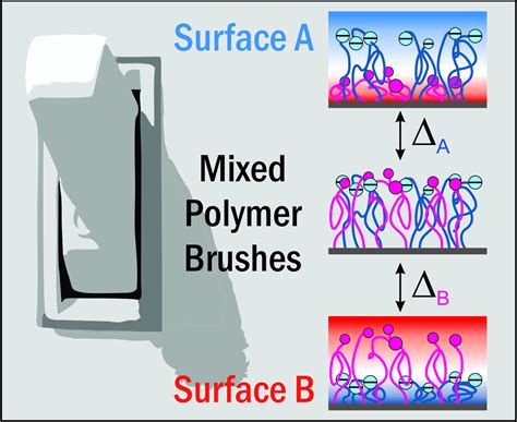 Polymers Free Full Text Mixed Polymer Brushes For Smart” Surfaces