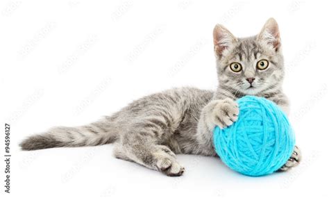 Cat Ball Of Yarn