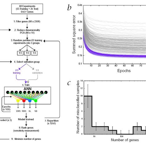 Hierarchical Clustering And Multidimensional Scaling Analysisthe Top
