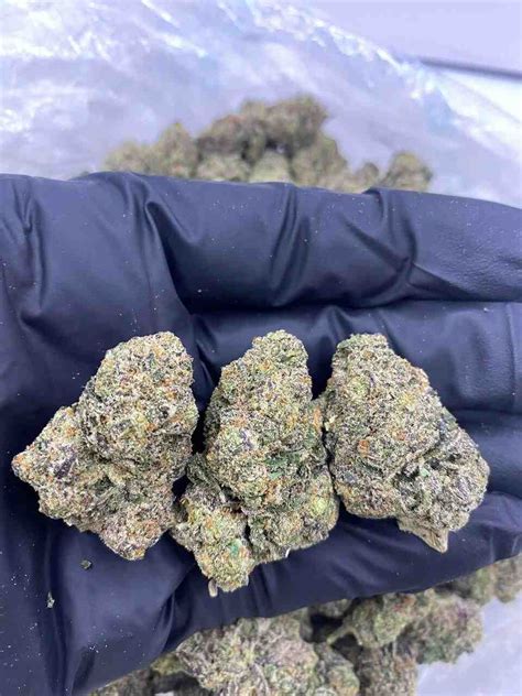 Blue Ripz Strain Backpack Boyz Backpack Boyz Dispensary