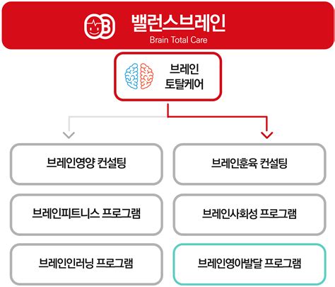 브레인영아발달 프로그램 Balancebrain