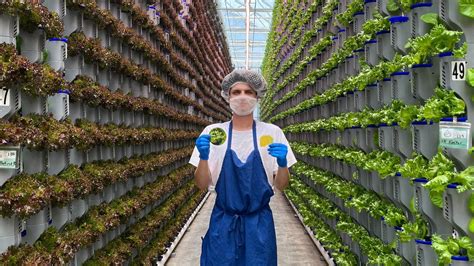 Agricultural Water Use Traditional Vs Vertical Farms Eden Green