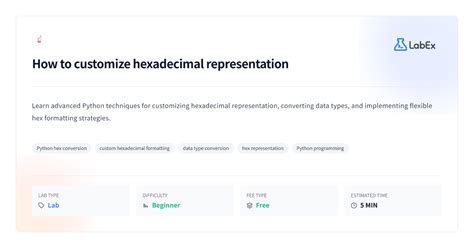 How To Customize Hexadecimal Representation Labex