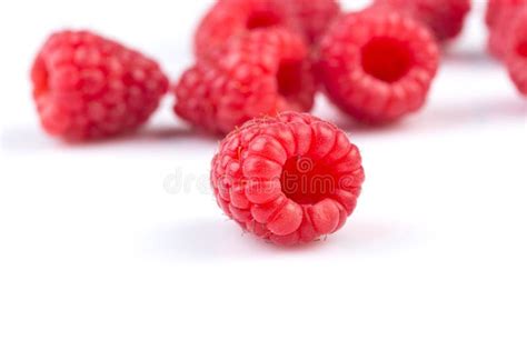 Raspberry Isolated On White Background Stock Photo Image Of Dessert Healthy