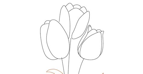 Как нарисовать тюльпан