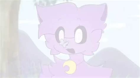 Milky Cat Dmc 27 And Milky Cat Dmc 21 Discover