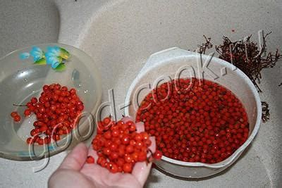 Рябиновый сок, рецепт приготовления