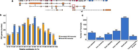 novel transcripts description a schematic representation of different