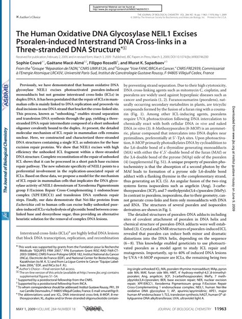 Pdf The Human Oxidative Dna Glycosylase Neil1 Excises Psoralen Induced Interstrand Dna Cross