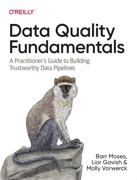 Data Quality Fundamentals A Practitioners Guide To Building Trustworthy Data