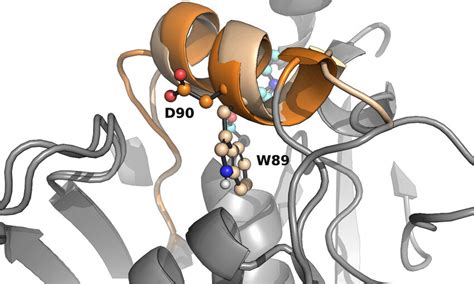 Alphafold 3d Model Structure Of Wp 075743487 1 Highlighting The Download Scientific Diagram