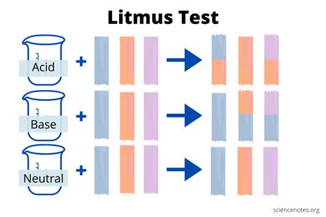 Litmus Paper And The Litmus Test