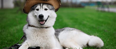 后端 一文讲清数据库的分库分表 Go语言学习专栏 Segmentfault 思否