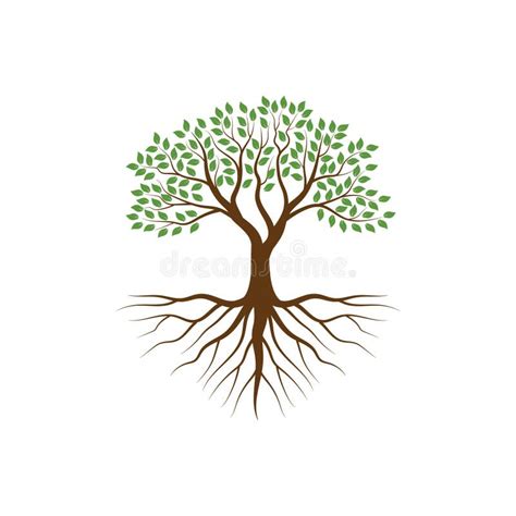 Tree With The Roots Vector Illustrations Stock Vector Illustration Of
