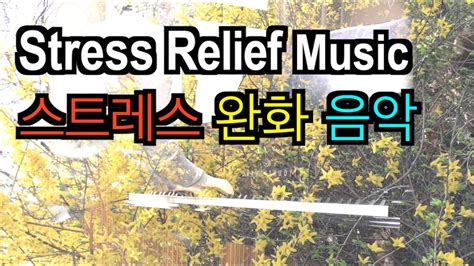스트레스 해소 음악 답답할때 피아노 연주 2 Stress Relief Music Youtube