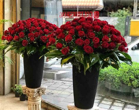 گالری گل هوشنگ عروسی مارکت