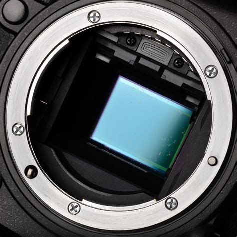 What Are These Spots On My Images And How To Remove Them Skearsphoto Com