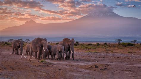 Bing Hd Wallpaper Trunks Packed For The Road Bing Wallpaper Gallery