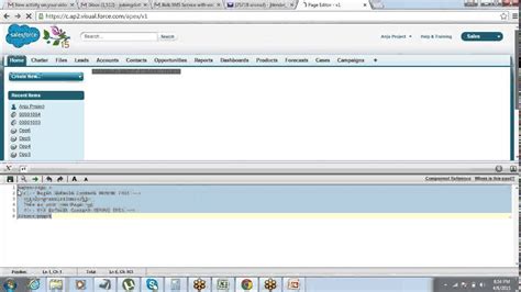 Basics Of Visualforce Enable Development Mode Understanding Markups