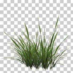 Explosion Desktop Alpha Compositing PNG Clipart Alpha Compositing Animation Channel Desktop