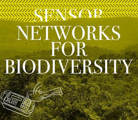 Underhyped Tech Sensor Networks For Biodiversity — Frontier Tech Hub