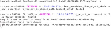 Qa 300 Appimage Crash On Centos 7 And Other Platforms · Issue 9683