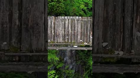 贵州深山发现一座独木桥，据说多年没人敢过，桥上还有个矿泉水瓶！ 探秘 独木桥 大山深处 風景 旅行 Youtube