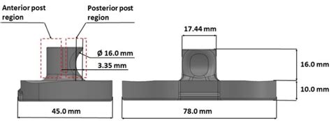 Schematic Diagram Of The Geometry Of The Modified Polyethylene Model