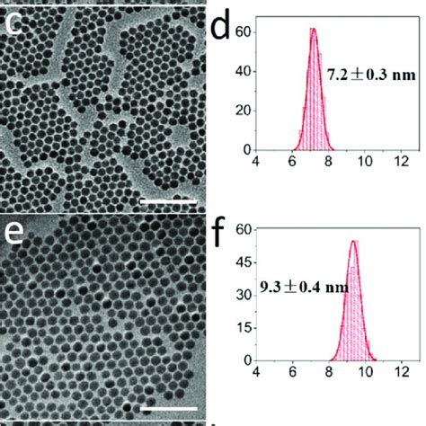 Tem Images Left And The Corresponding Size Distribution Histograms