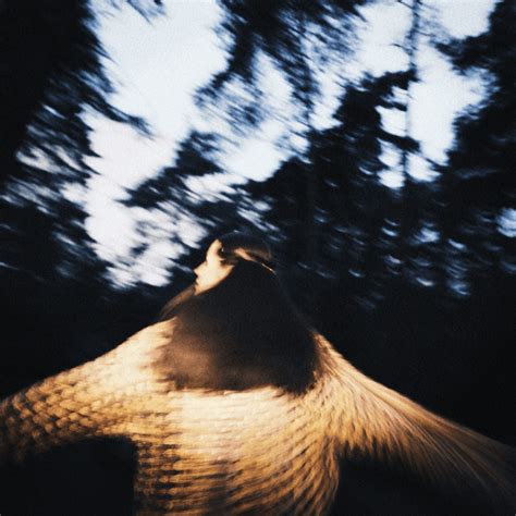 Lera Osipova Three Dots Lyrics Genius Lyrics