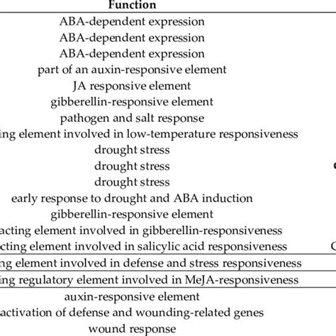 Putative Cis Regulatory Elements In Bjpr1 Promoter Sequence Identified
