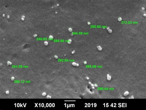 Scanning Electron Microscope Sem Image Of The Polycaprolactone Pcl Download Scientific